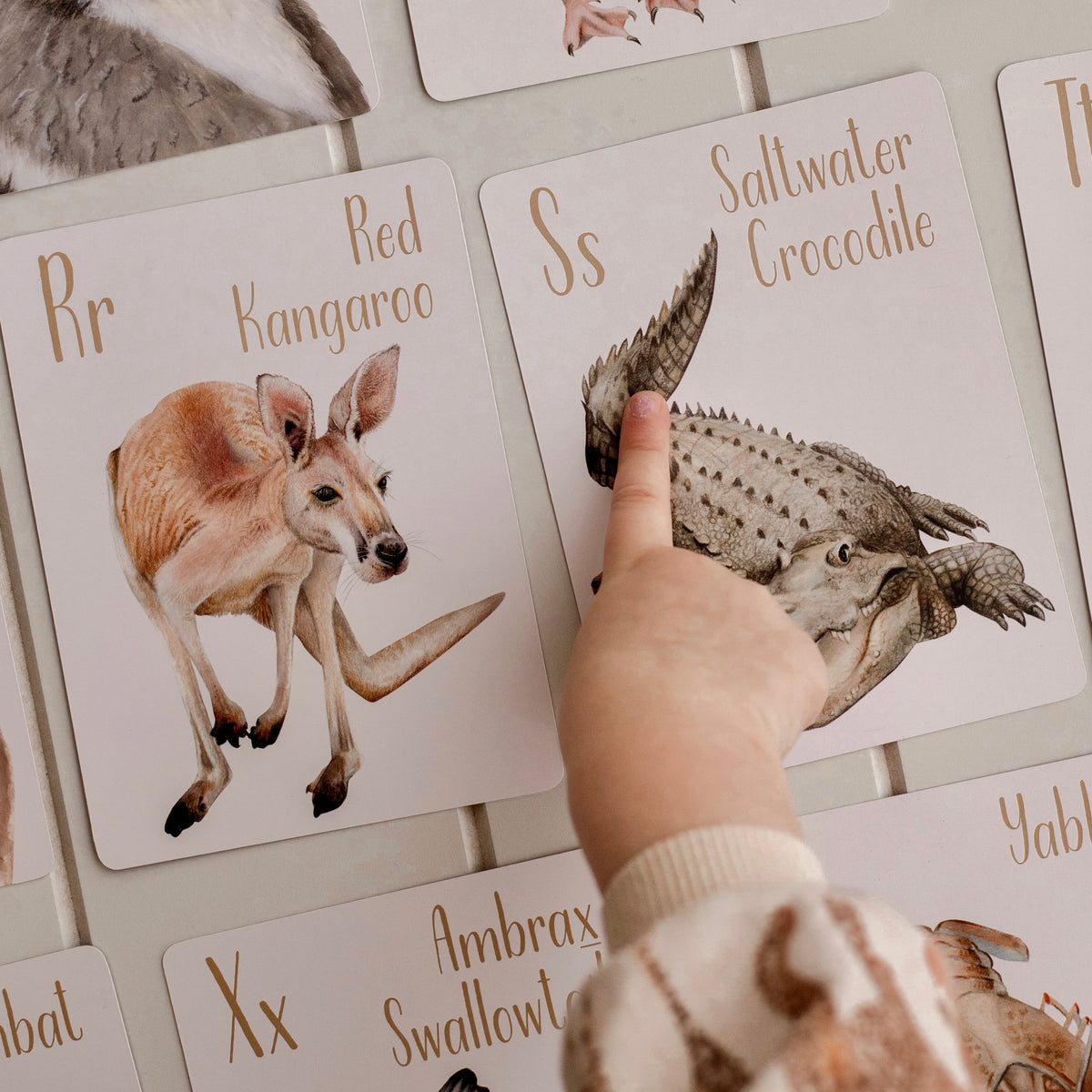 Australian Animal Alphabet Flash Cards – Lilac Tods